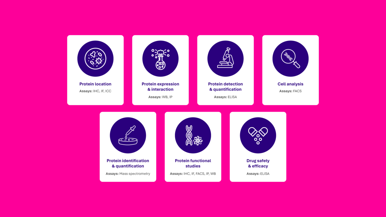 Are your antibodies lying to you? Why antibody validation is critical - Fluidic Sciences Ltd