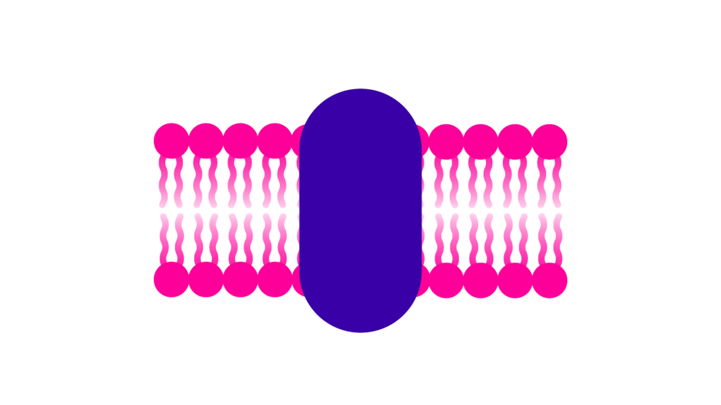 Characterizing Membrane Proteins in Native Conditions - Microfluidic ...