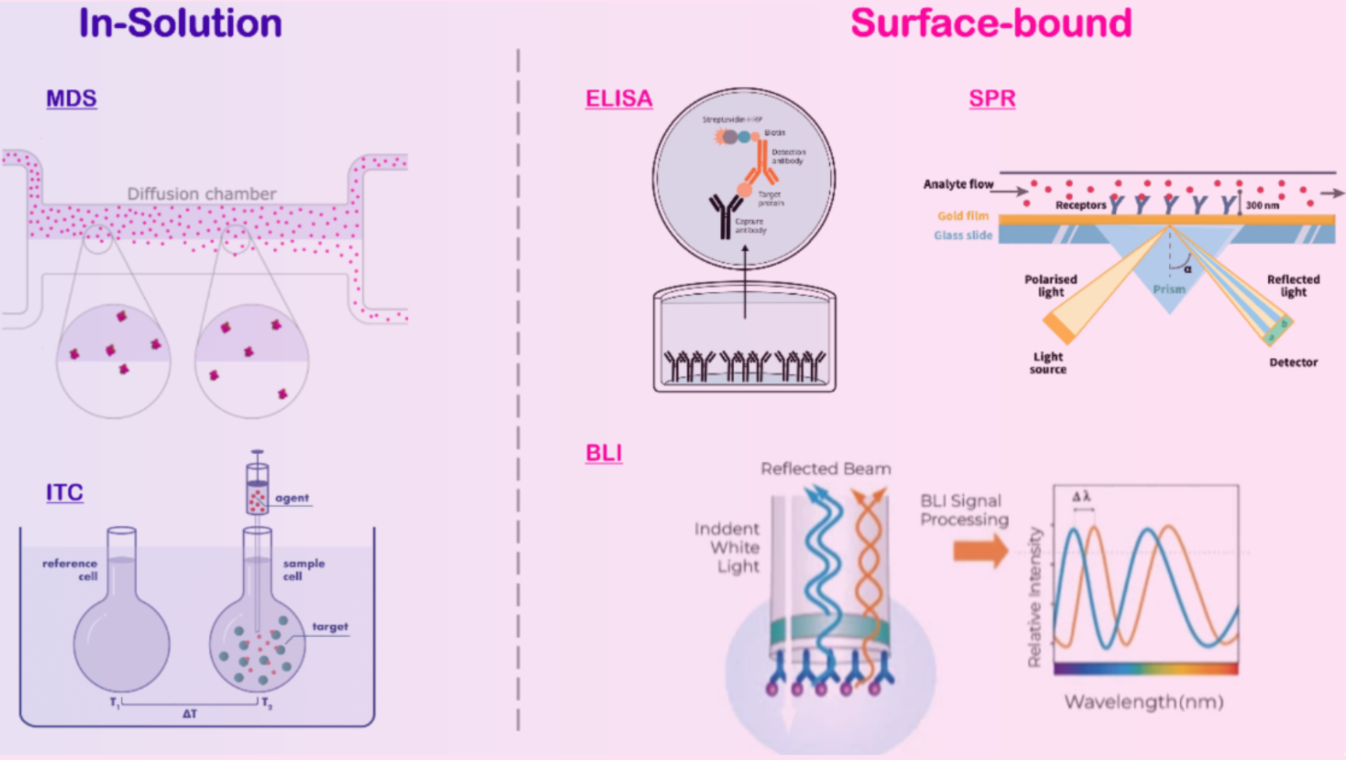 Binding Assays: Common Techniques and Key Considerations - Fluidic ...